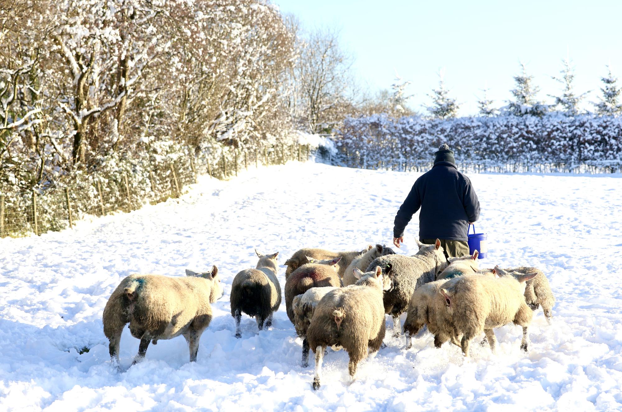 Temperatures plunged to -6.6 °C last night in parts of Northern Ireland ...