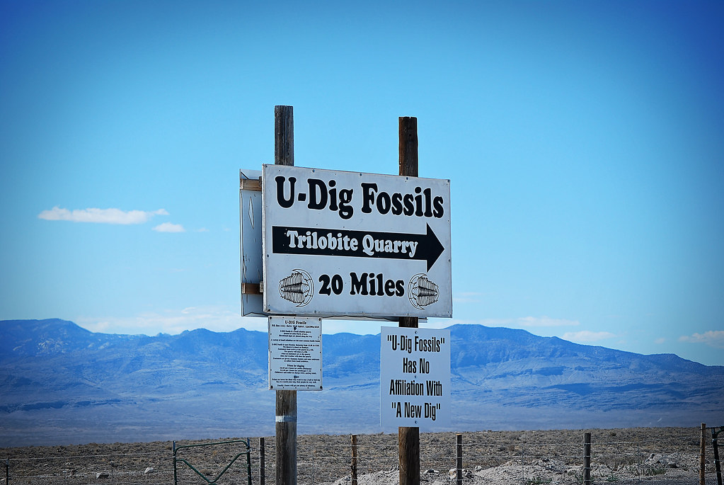 Fossil parks in the US to dig for fossils