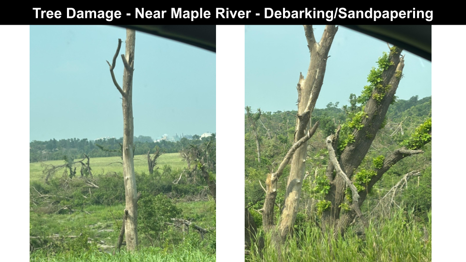 A deadly North Dakota tornado was one of 2025's record-breaking weather ...