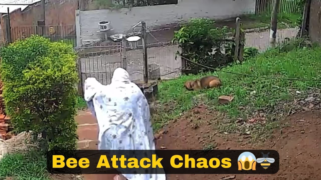 Girl rushes to save her dog from Africanized bees and fails
