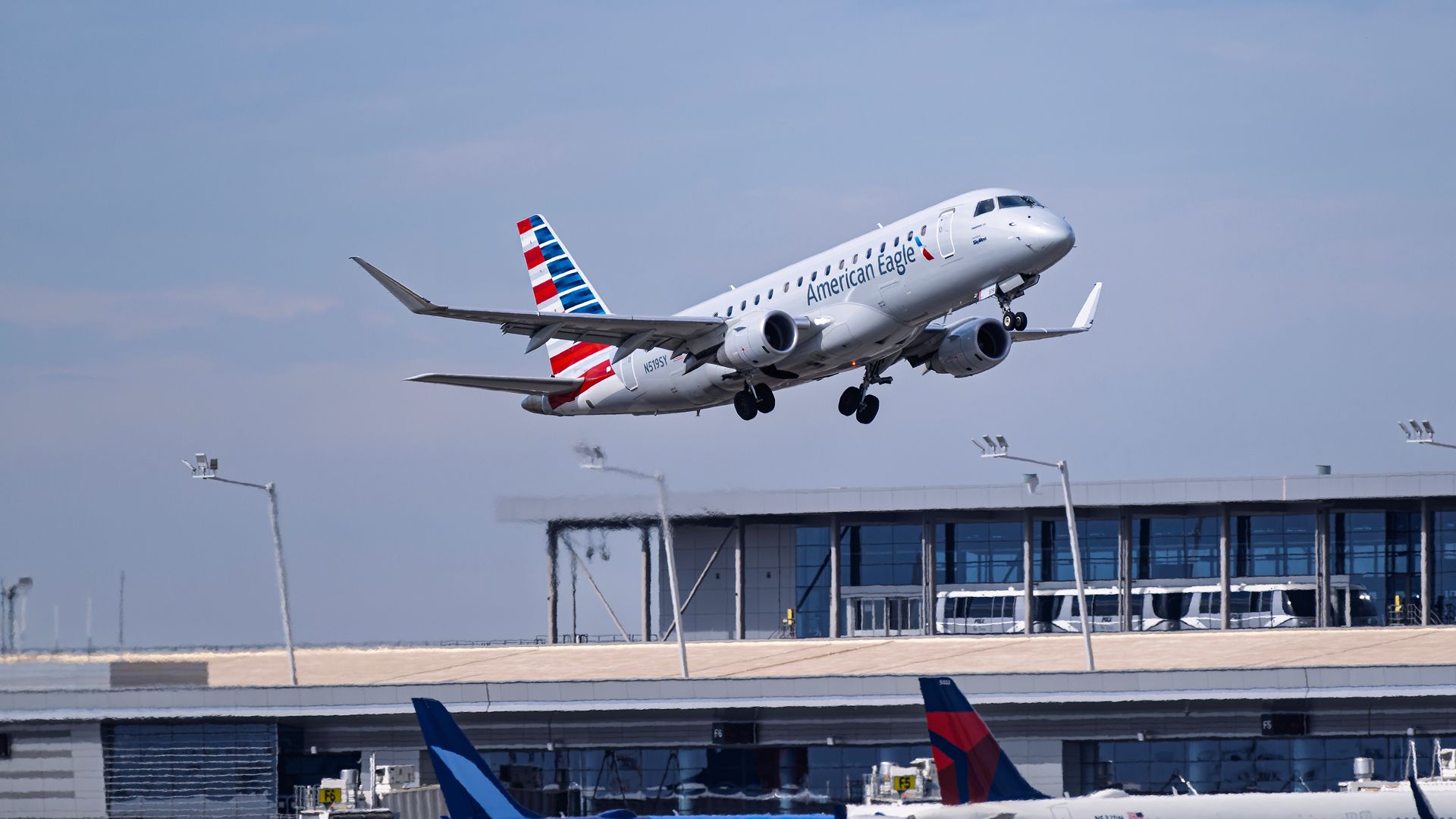 Raw meat spills onto baggage carousel at Phoenix Sky Harbor ...