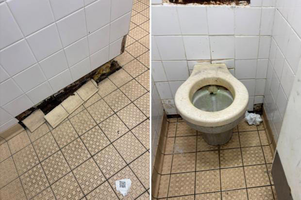 Council promises action after photos reveal poor condition of Newport ...
