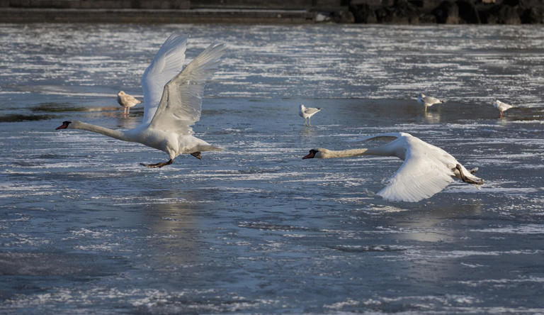 This is what we all got up to today in Northern Ireland after schools ...
