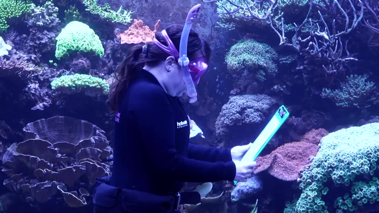 London Zoo begins annual stocktake of over 8,000 animals