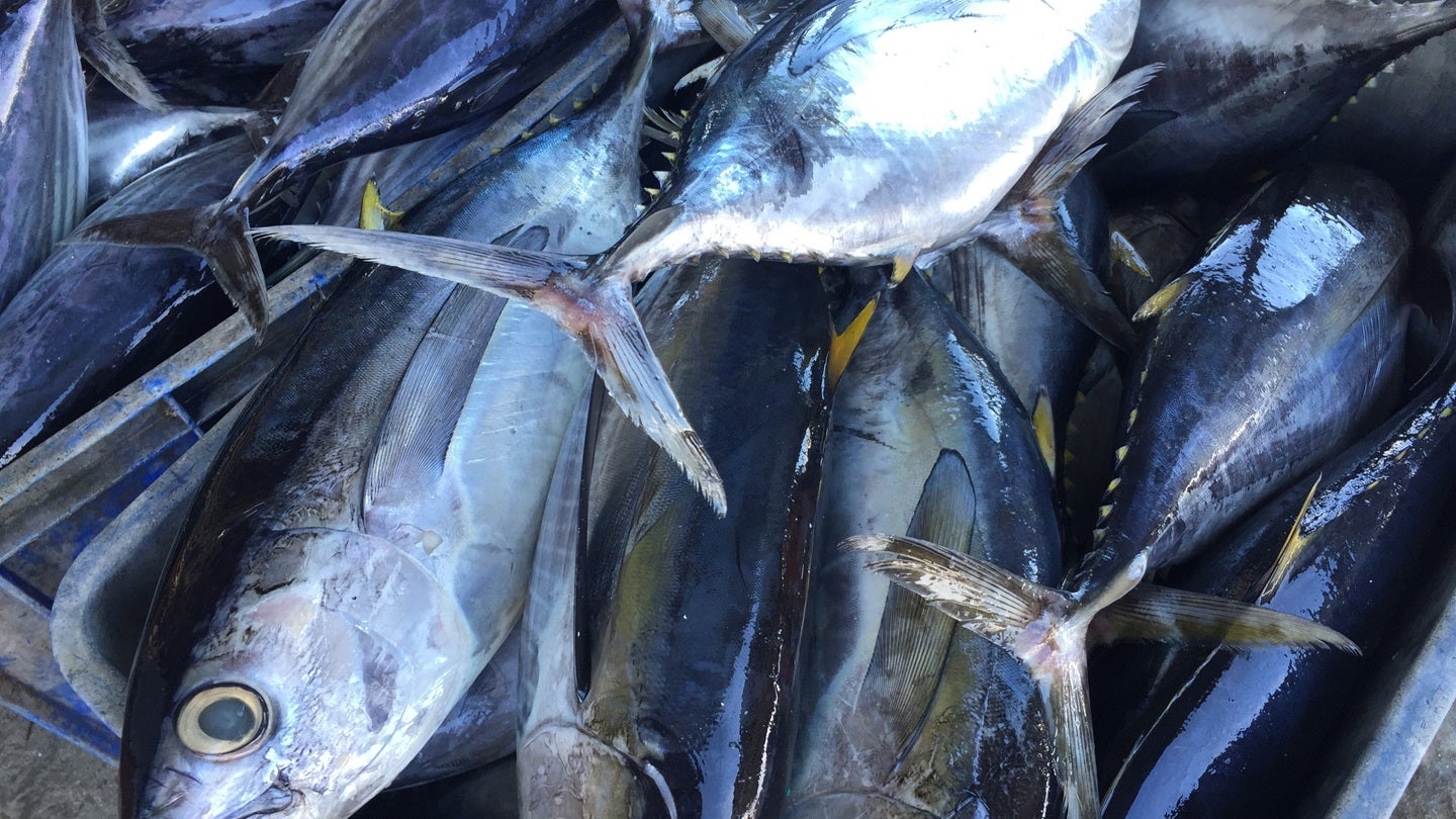 Captain Fresh withdraws IPO papers