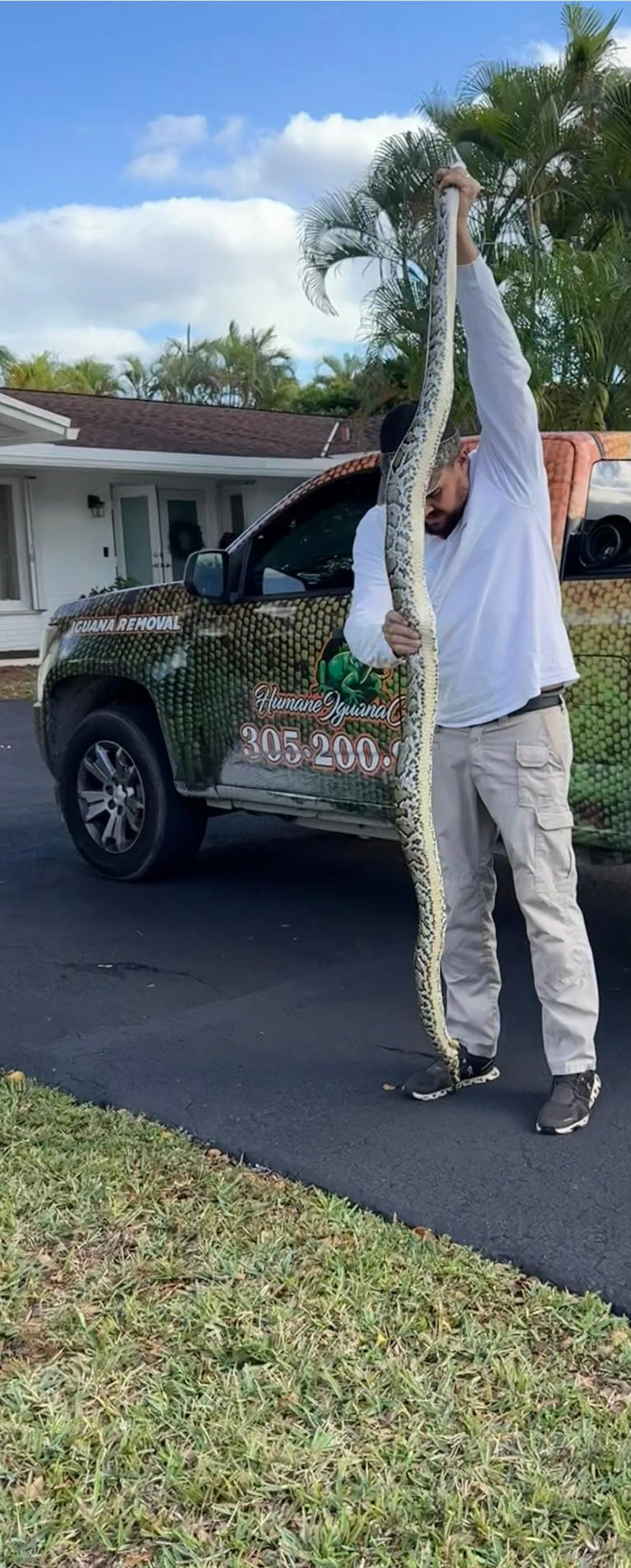 Python in Florida woman's backyard a sign of their movement to urban areas