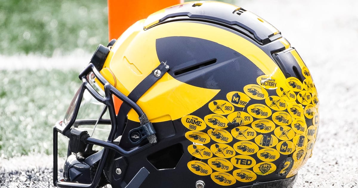 Michigan football lands first transfer portal commit in Pitt long ...