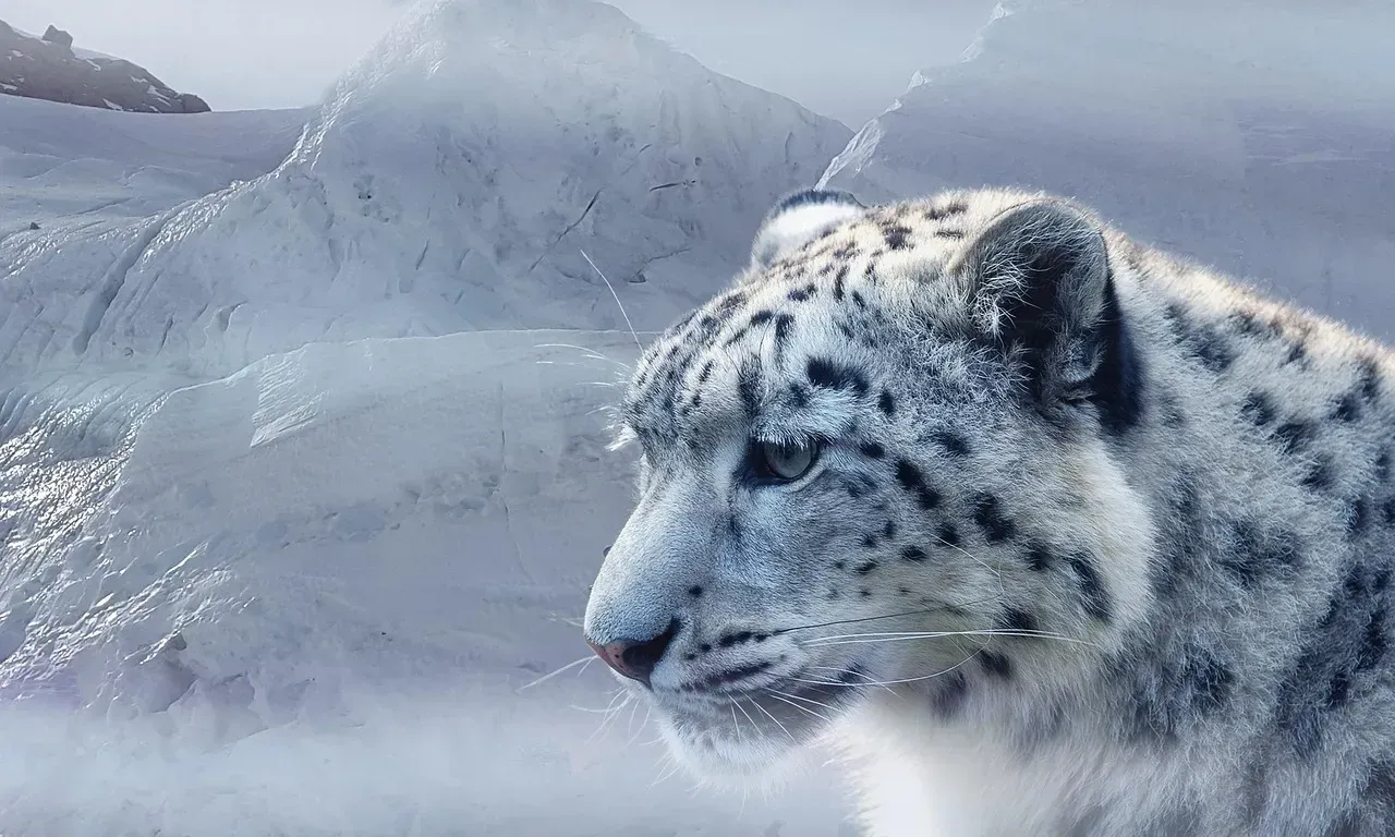 Animals so elusive they vanish the moment humans arrive