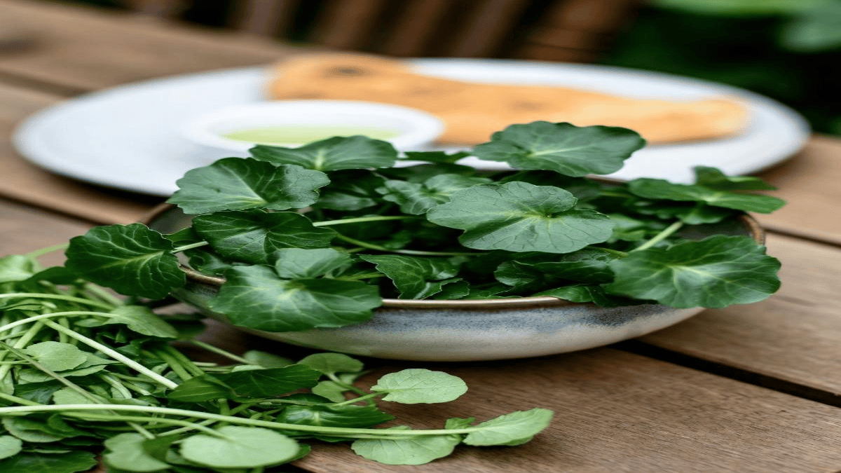 The Worlds Healthiest Green Youre Probably Ignoring: Why Watercress ...