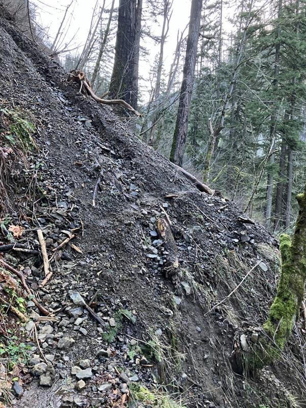 Popular Eagle Creek, Wahclella Falls trails closed for months