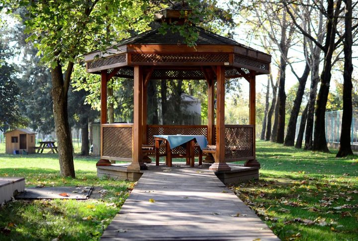 15 unique ideas for a more private backyard
