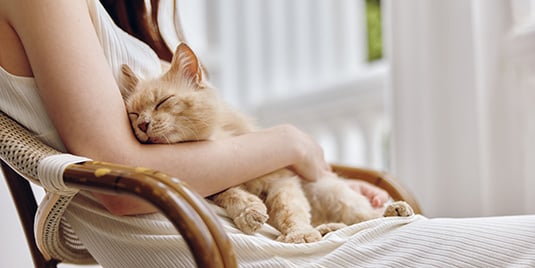 Why routine is my secret weapon for stability