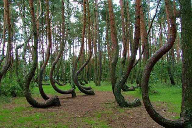 People visit these eerie places—and leave with chilling stories