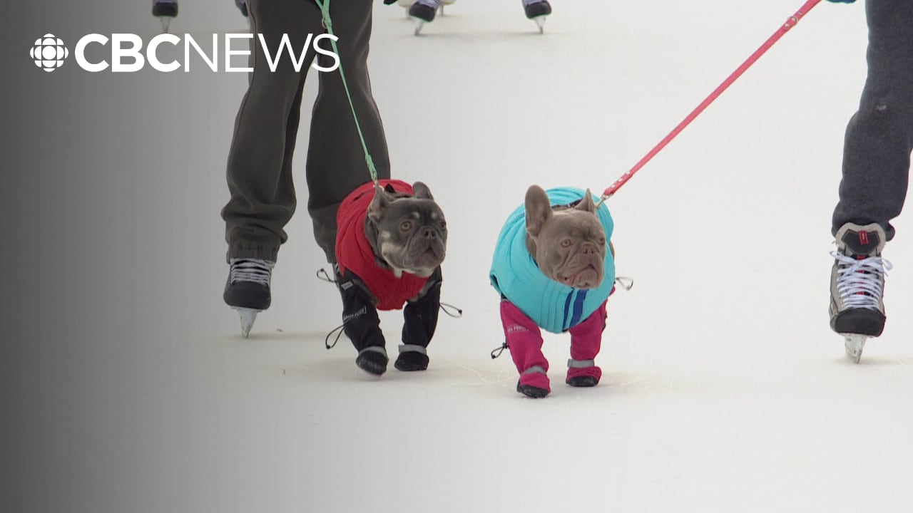 Saskatchewan's scenic skating spot snakes through provincial park