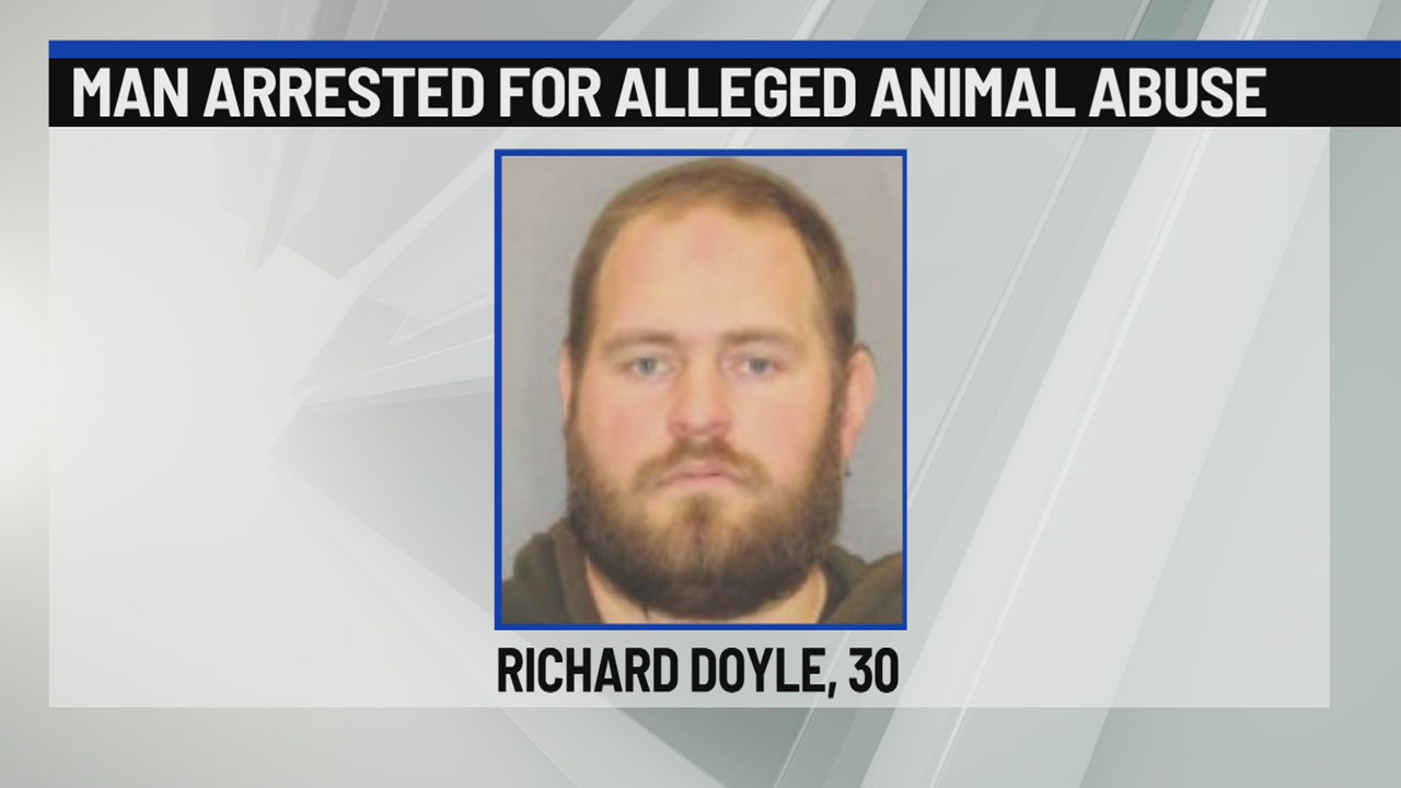 Greenfield man charged with animal abuse after dog death