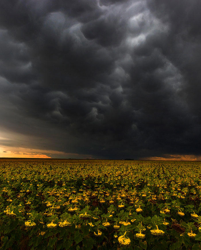 39 times mother nature proved to be scary as h**l