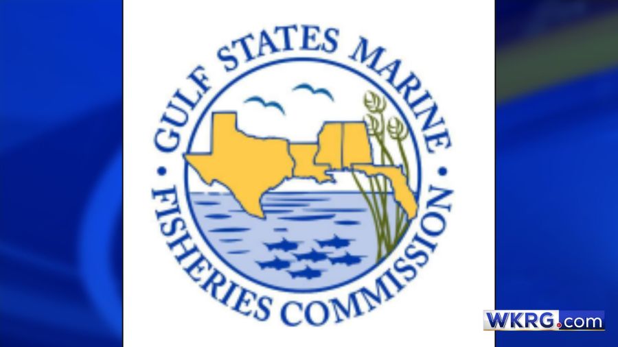 South Alabama scientist to lead $5M study on Gulf fish populations