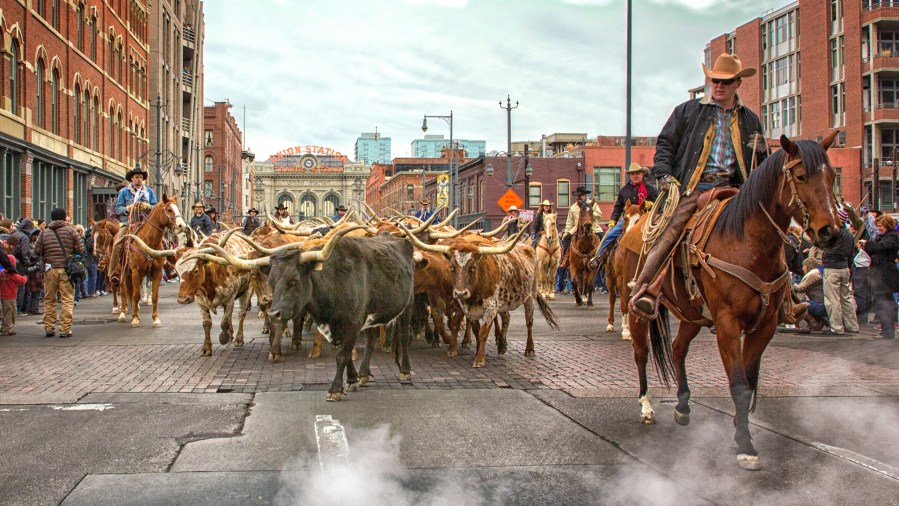 Parade kicks off National Western Stock Show in Denver: What to know