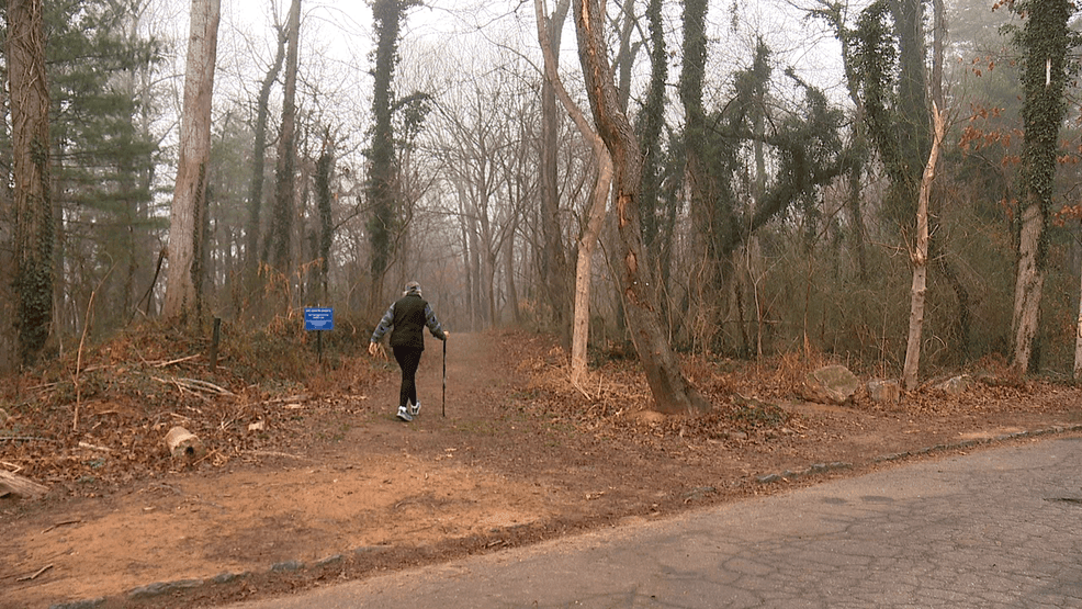 UNC Asheville removes art exhibit from South Campus Woods, citing ...
