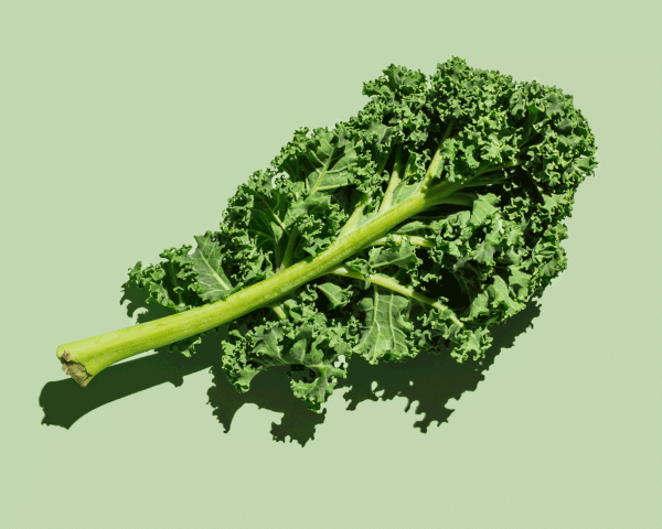 8 surprising foods that support healthy eyes and clear vision (besides ...