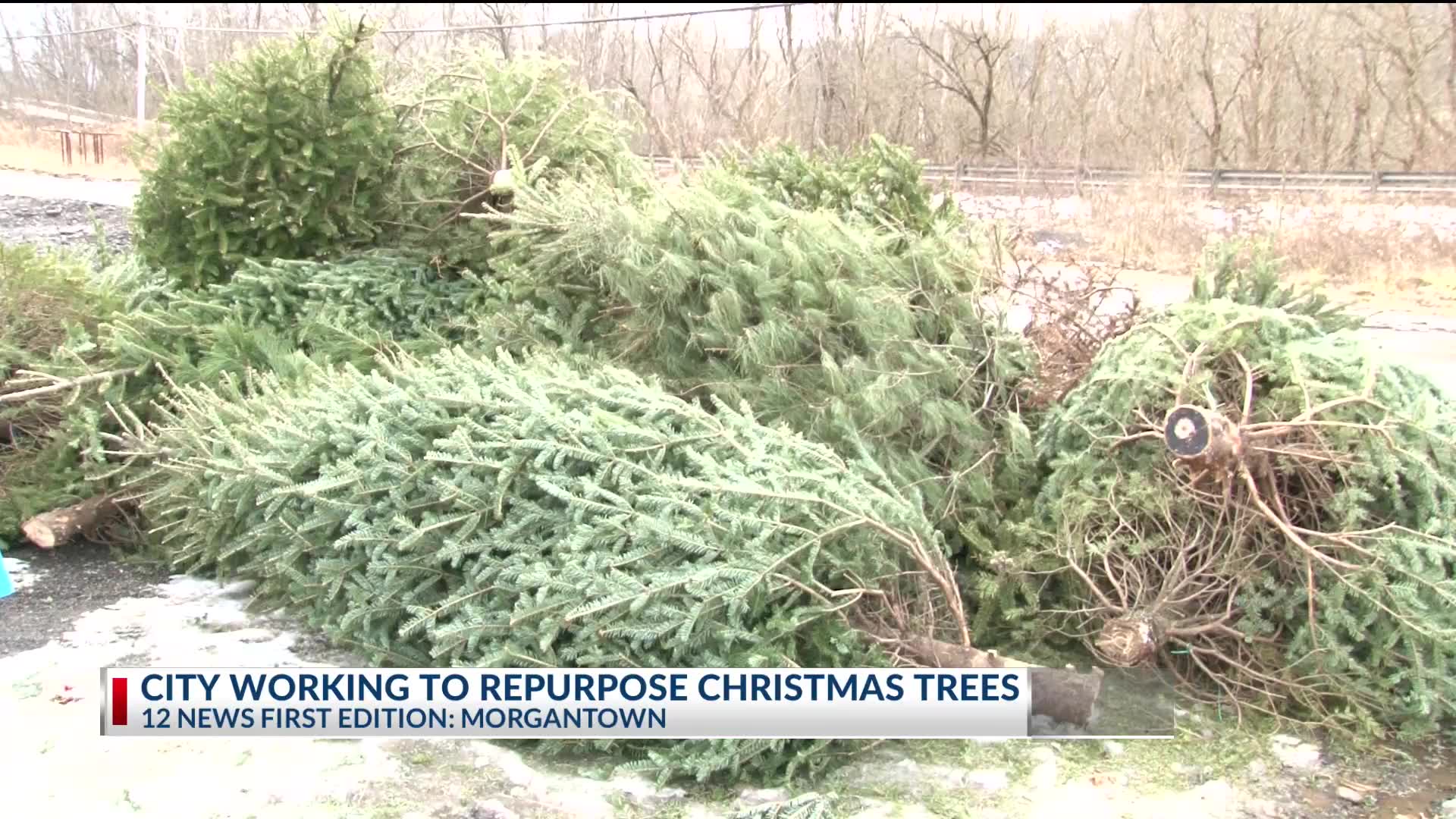 City of Morgantown working to repurpose Christmas trees