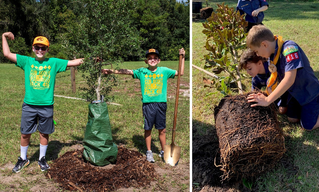 Celebrate Arbor Day 2026