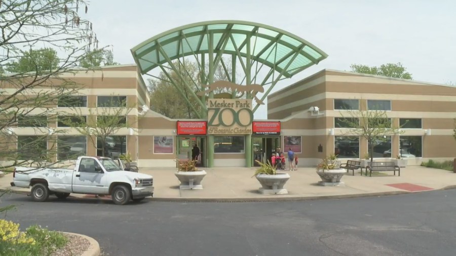 Mesker Park Zoo welcomes two baby penguins