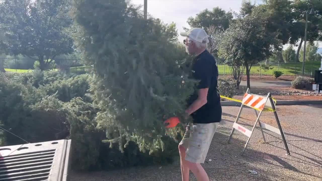 Where to recycle live Christmas trees and wreaths around the Valley