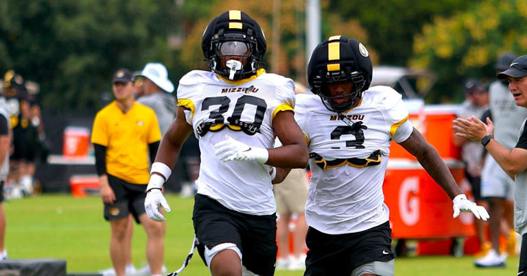 Mizzou safety CJ Bass will not transfer