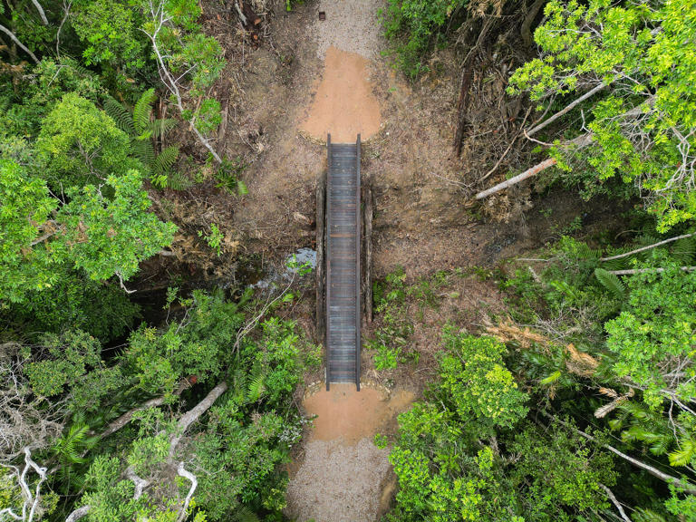 A much-loved Tropical North Queensland track has reopened