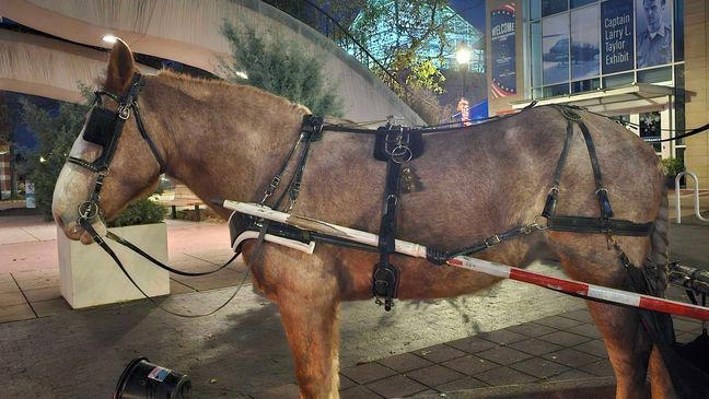 Chattanooga city council approves ordinance for earlier retirement of ...