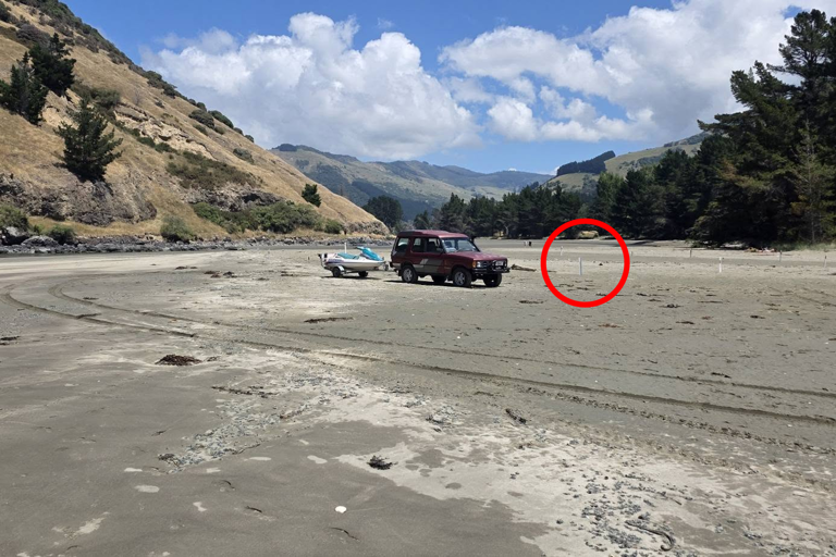 Sad reality on beaches in Australia and New Zealand: 'People aren't aware'