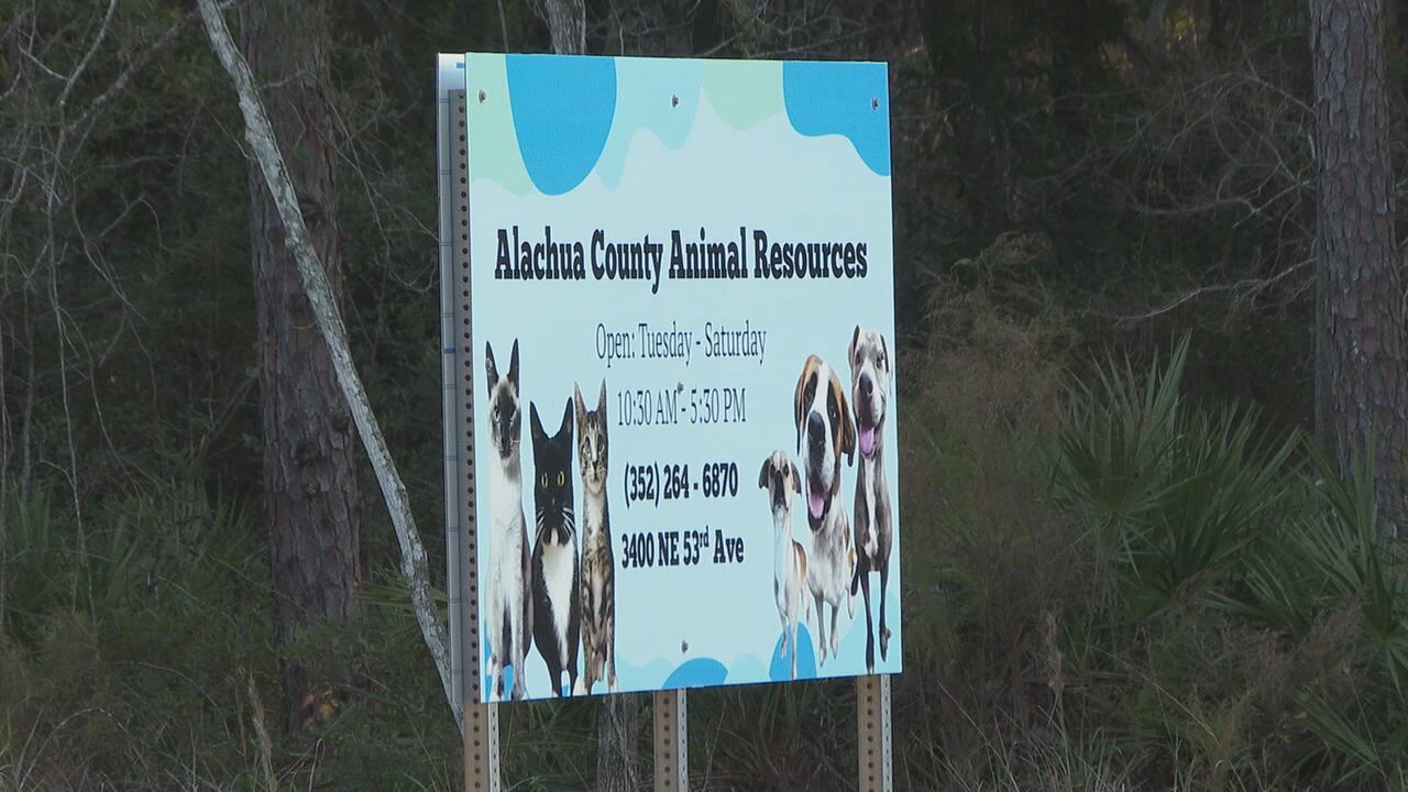 Residents raise concerns over overcrowding, euthanasia at Alachua ...