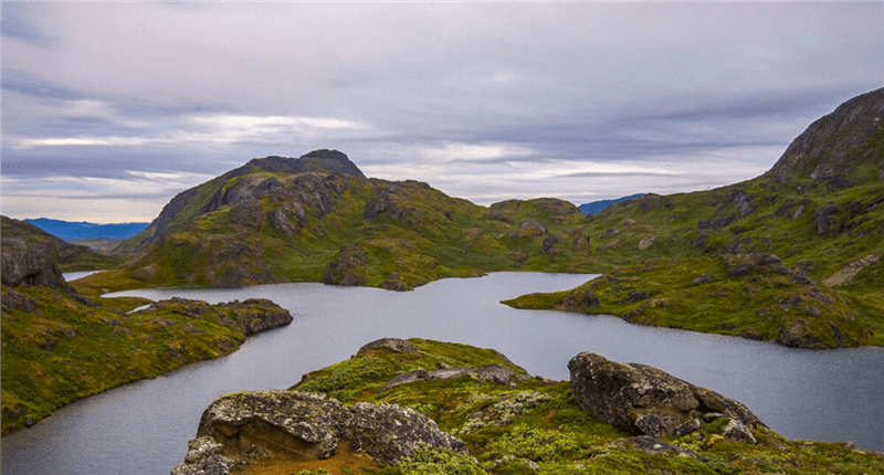 Dalaroo takes over early-stage critmins project Blue Lagoon after ...