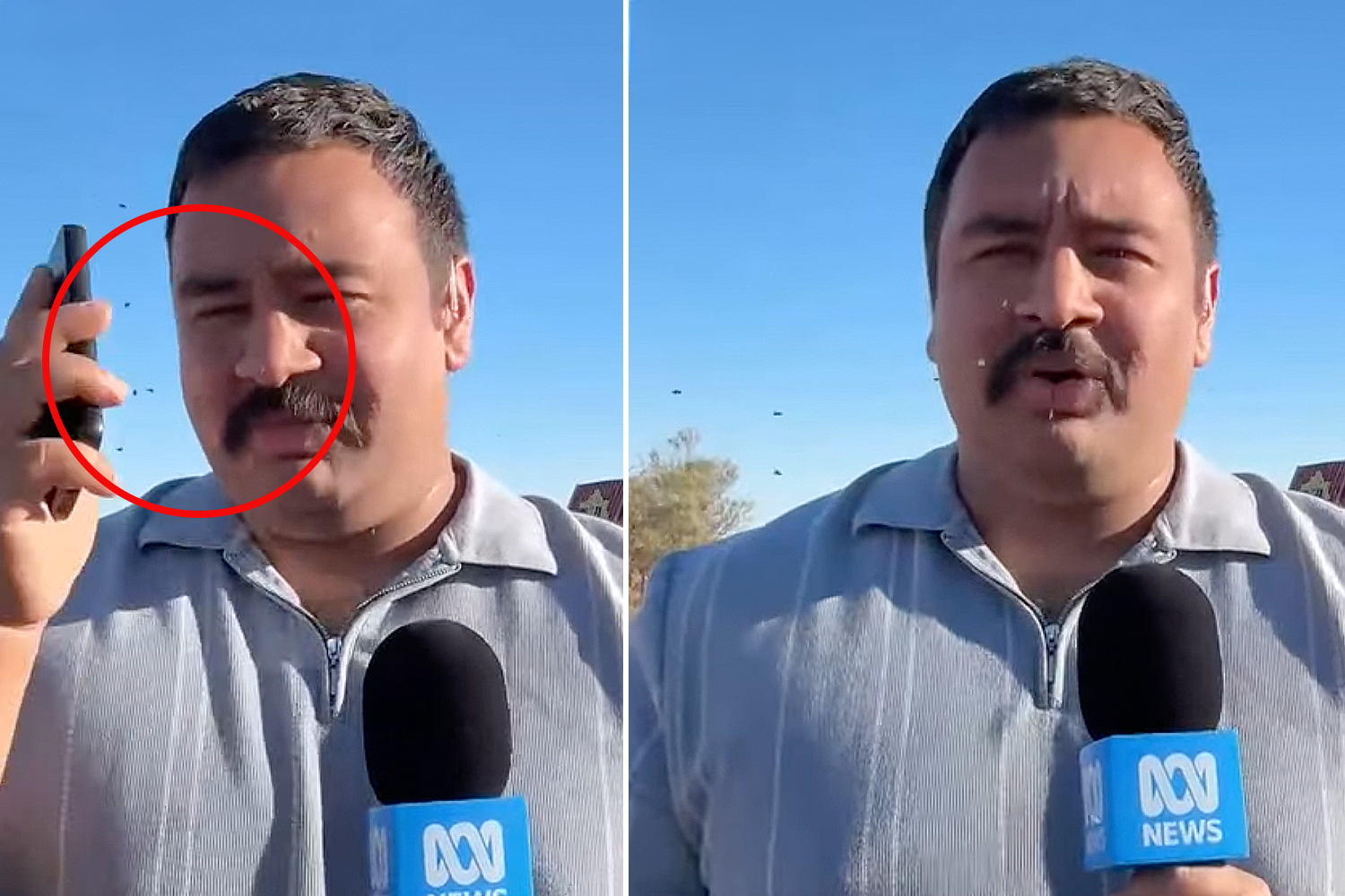 ABC reporter's on-air battle as notorious 'plague' takes over ...