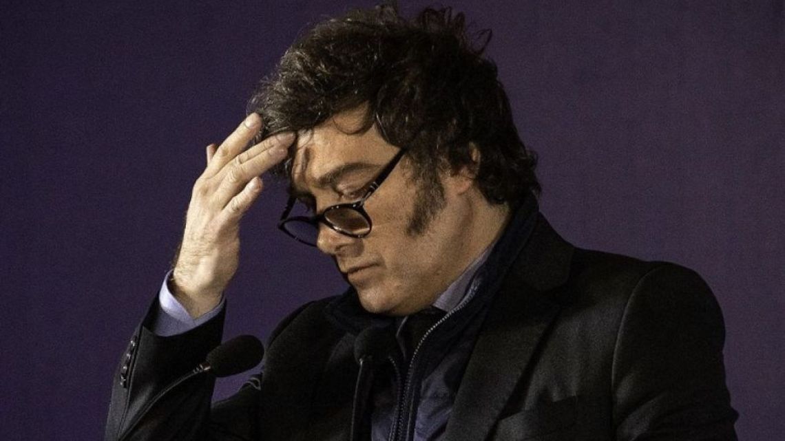 El CELS presentó un amparo contra el DNU del Gobierno que reformó la ...