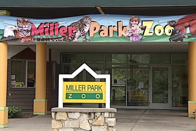 Beloved Sumatran tiger Rojo of Miller Park Zoo dies at 19