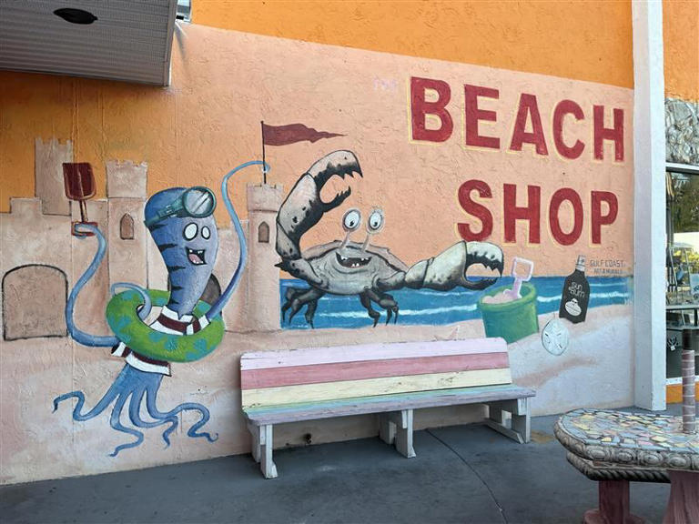 ‘We want to keep it going’: Suncoast still underwater after 2024 storm ...