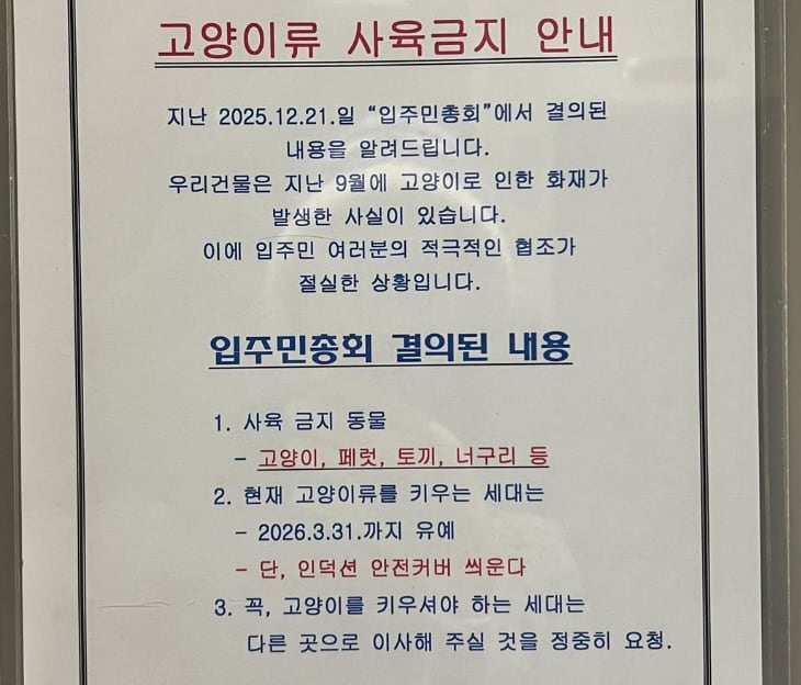 Incheon office-tel requests cat owners relocate over fire risks