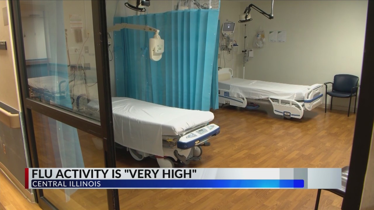 Central Illinois hospitals seeing influx in visits for the flu over ...
