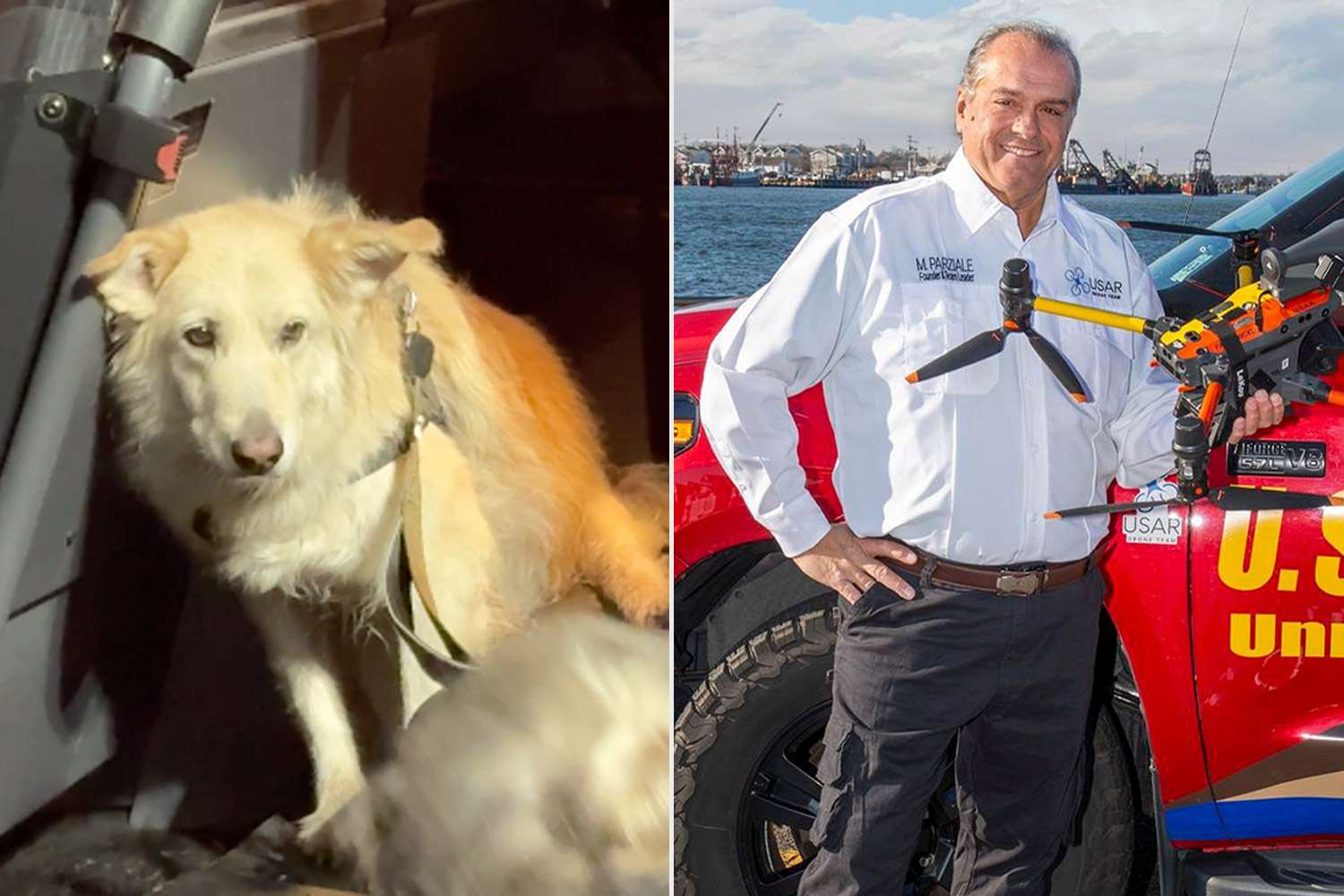 Rescue dog who escaped on her way to a new home runs 26 miles before ...