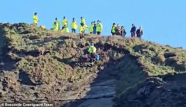 Moment pet spaniel is rescued from rock face after falling down 100ft cliff