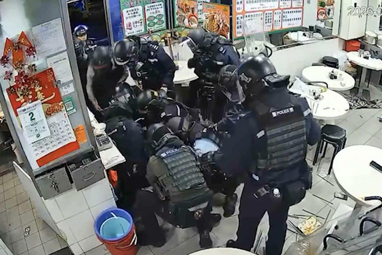 Woman fights 12 police officers with meat cleaver after phone ...