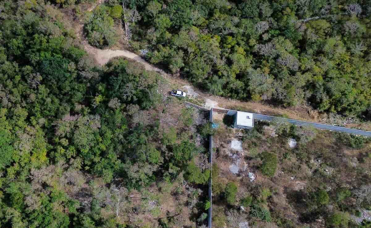 Profepa frena daños al Área Natural Protegida de Dzibilchaltún, Yucatán ...