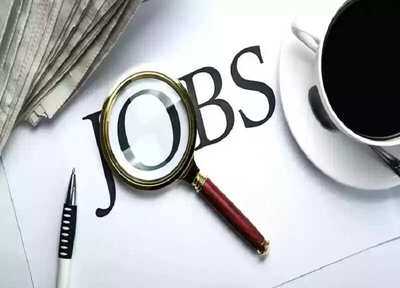 Exciting government job opportunities in 2026: Over 8,800 vacancies ...