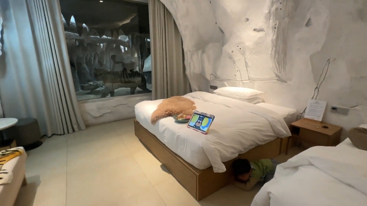 Tigers roam outside cozy wildlife lodge in Shanghai, China