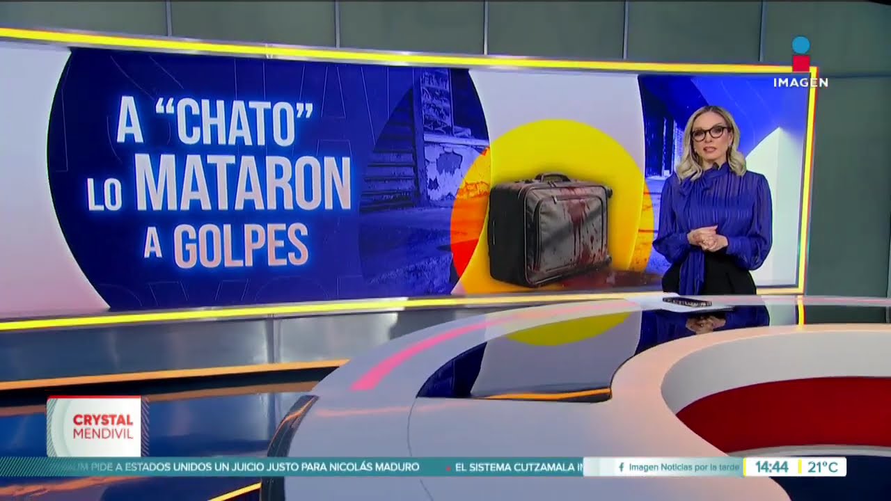 "Chato", un perrito boxer fue asesinado a golpes por el hombre con el ...