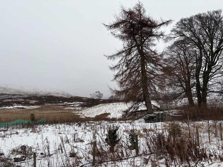 UK weather live: London hit by snow before Storm Goretti warnings hit