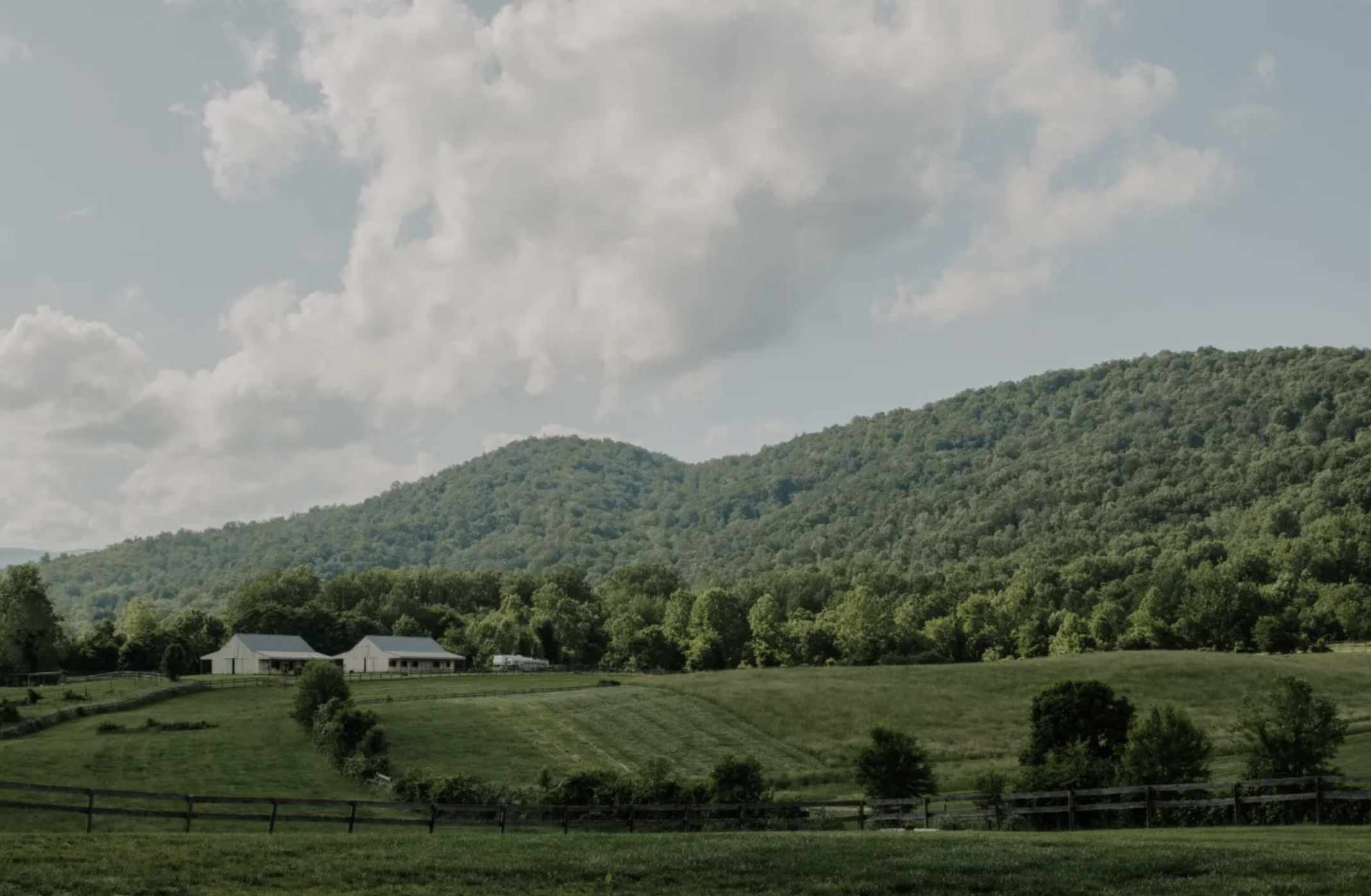 6 distillers turning Virginia into a must-visit bourbon destination