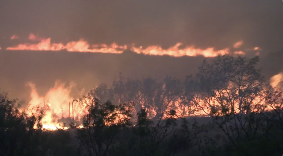 A warm winter can be dangerous weather for a fire: how 'freeze-cured ...